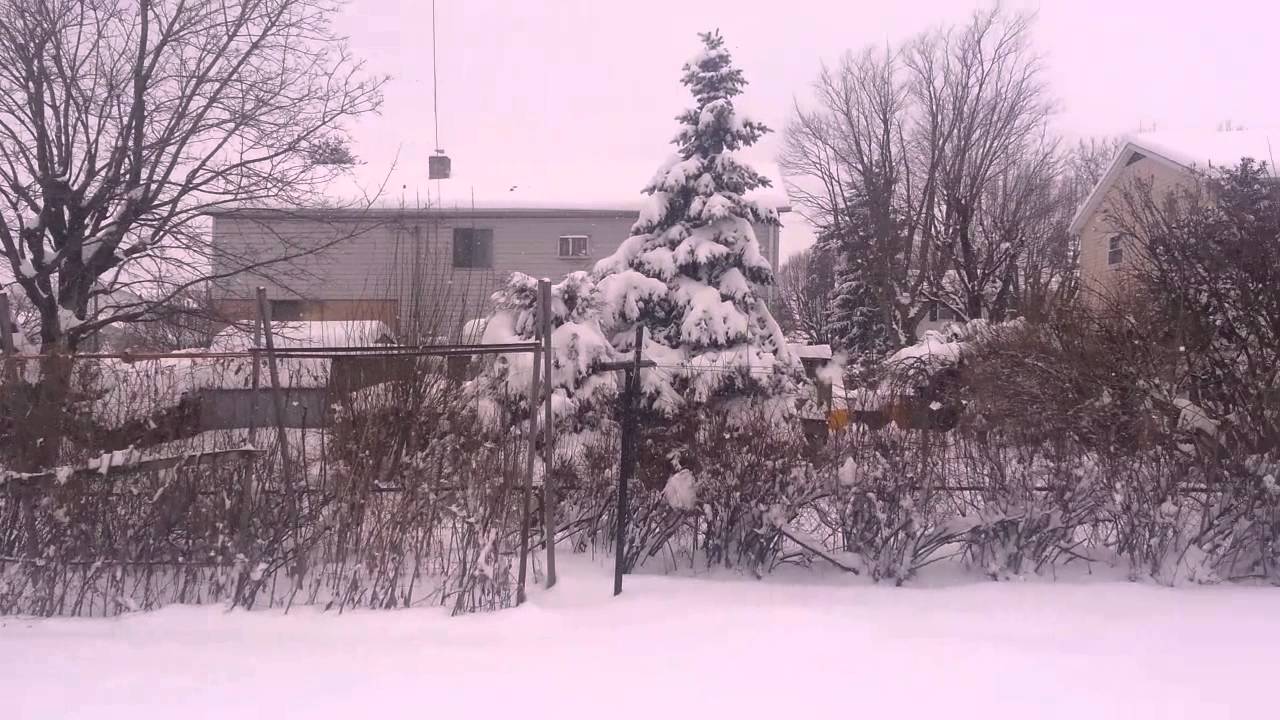 Feb 2014 snow. York PA - YouTube