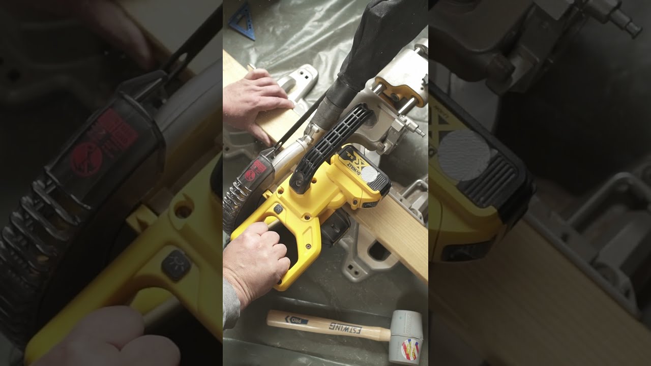 DeWALT DCS361 shorts