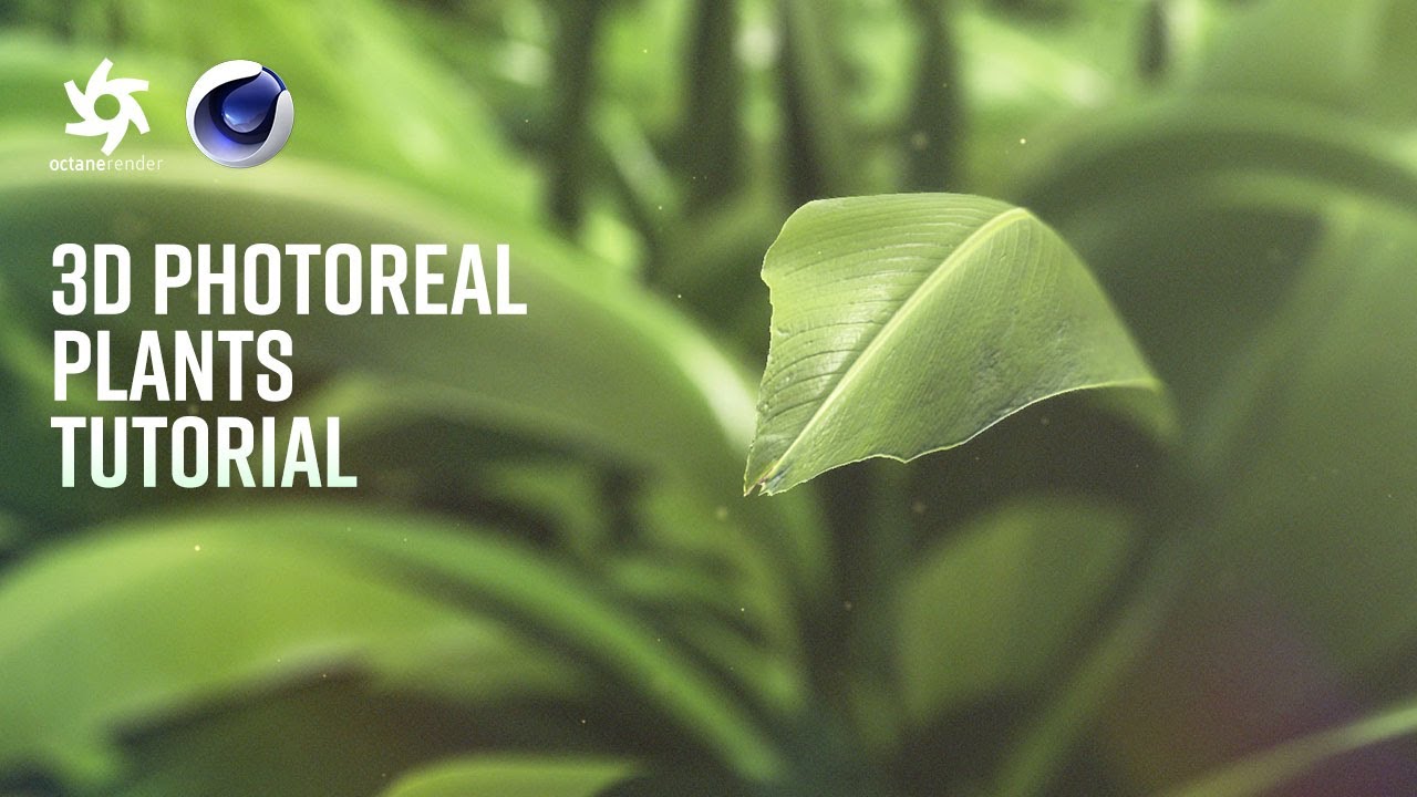 Creating Photorealistic 3D Plants in Cinema 4D & Octane Render - YouTube