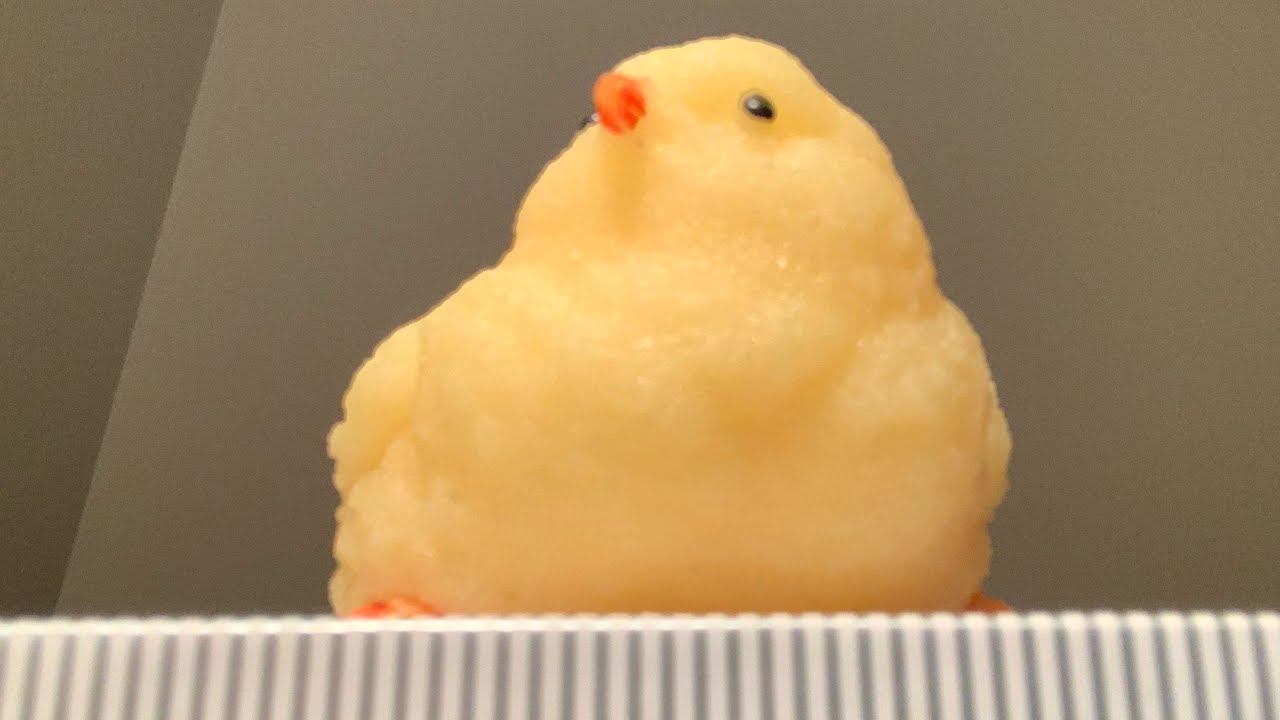 GUYYSSSSSS PLEASE MAKE THIS PREPPY CHICKEN FAMOUS🐥🐥🐥🐥🐥🐥🐥🐥🐥🐥🐥🐥🐥🐥🐥🐥🐥🐥🐥🐥🐥🐥 ...