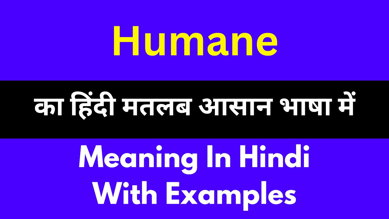 Humane meaning in Hindi/Humane का अर्थ या मतलब क्या होता है. - YouTube