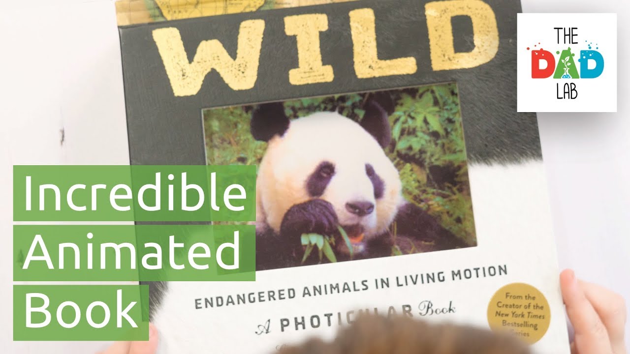WILD: Animated Animal Book Review - YouTube