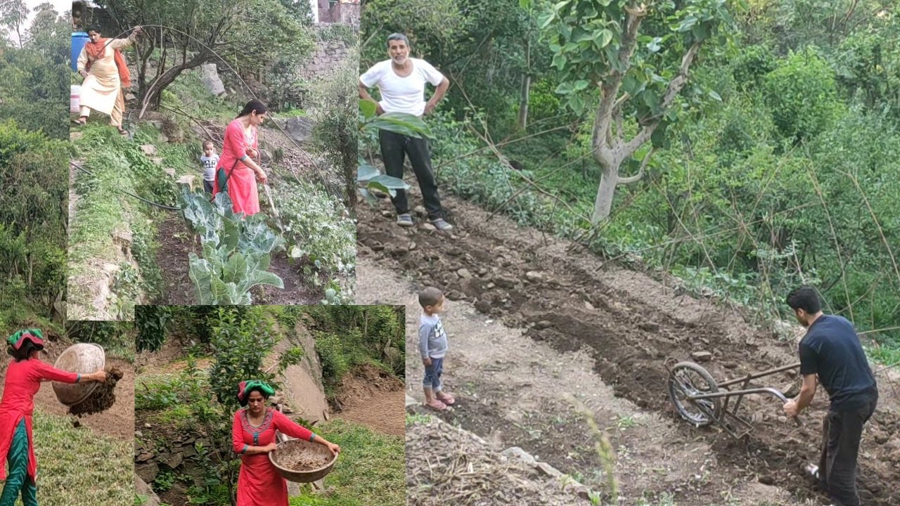 सुबह तक तो सबकुछ ठीक था लेकिन दोपहर को मिली बहुत बूरी खबर, इतना Lightly ...