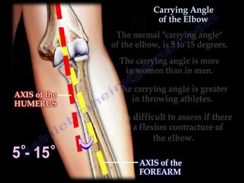 Carrying Angle Of The Elbow - Everything You Need To Know - Dr. Nabil Ebraheim