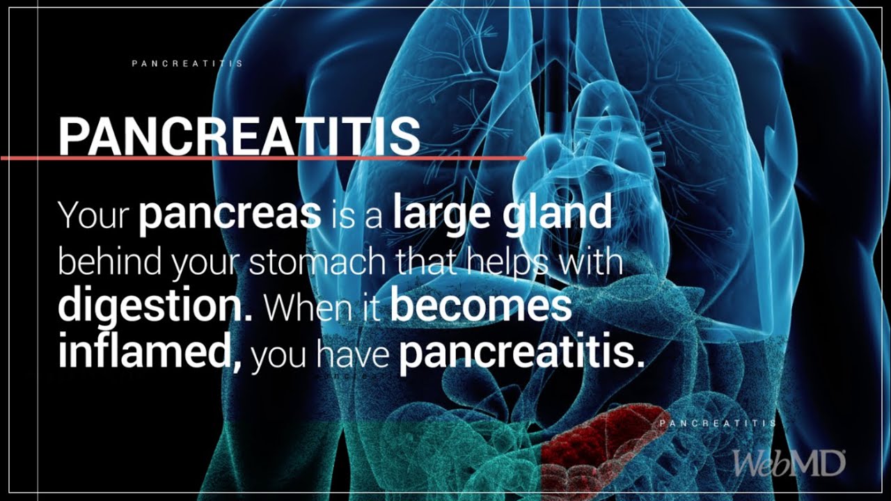 What is Pancreatitis? | WebMD - YouTube