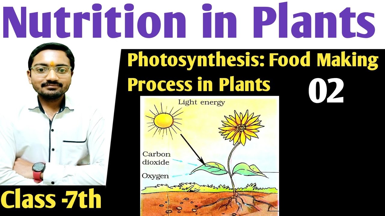 Class-7 Science | Photosynthesis | Biology | NCERT | CBSE | #02 - YouTube