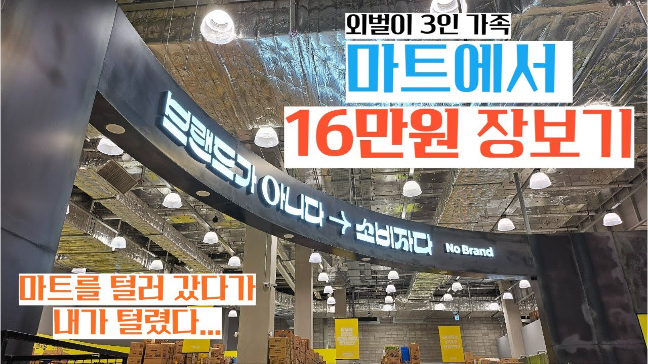 장보기1 외벌이 3인 가족 장보기 브이로그 마트에서 16만원 지출 🛒 마트를 털러 갔다가 내가 털렸다 노브랜드