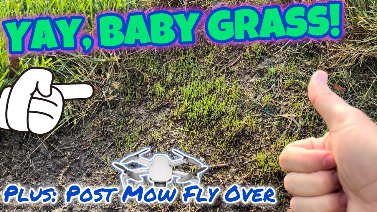 Spring Spot Seeding Update // Post Mow Review! - YouTube