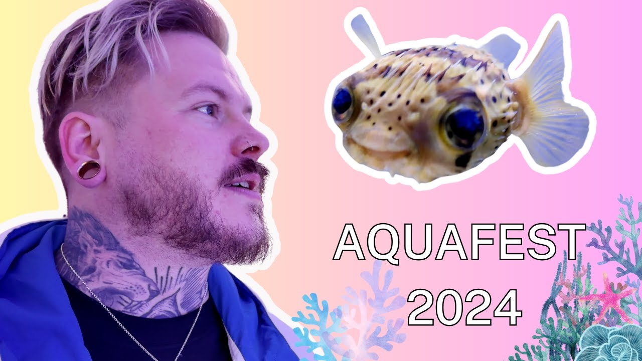 Saltwater Aquarium Festival | AQUAFEST 2024 | Fish, Coral & Reefing ...