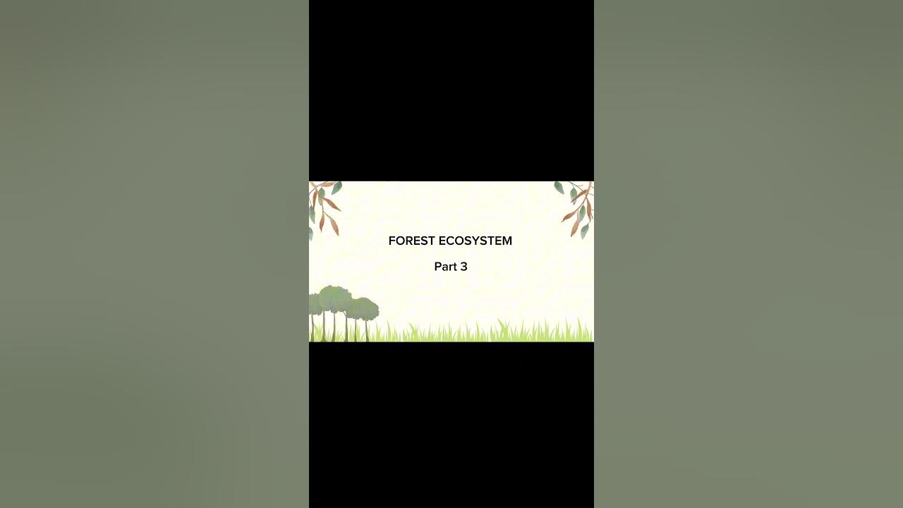 Forest Ecosystem (Part 3) #forestry #reviewer #forestryreviewer # ...