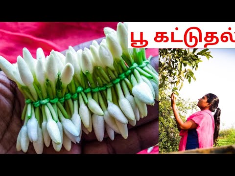 முல்லை பூ கட்டுவது எப்படி||poo kattuvathu eppadi in tamil simple for ...
