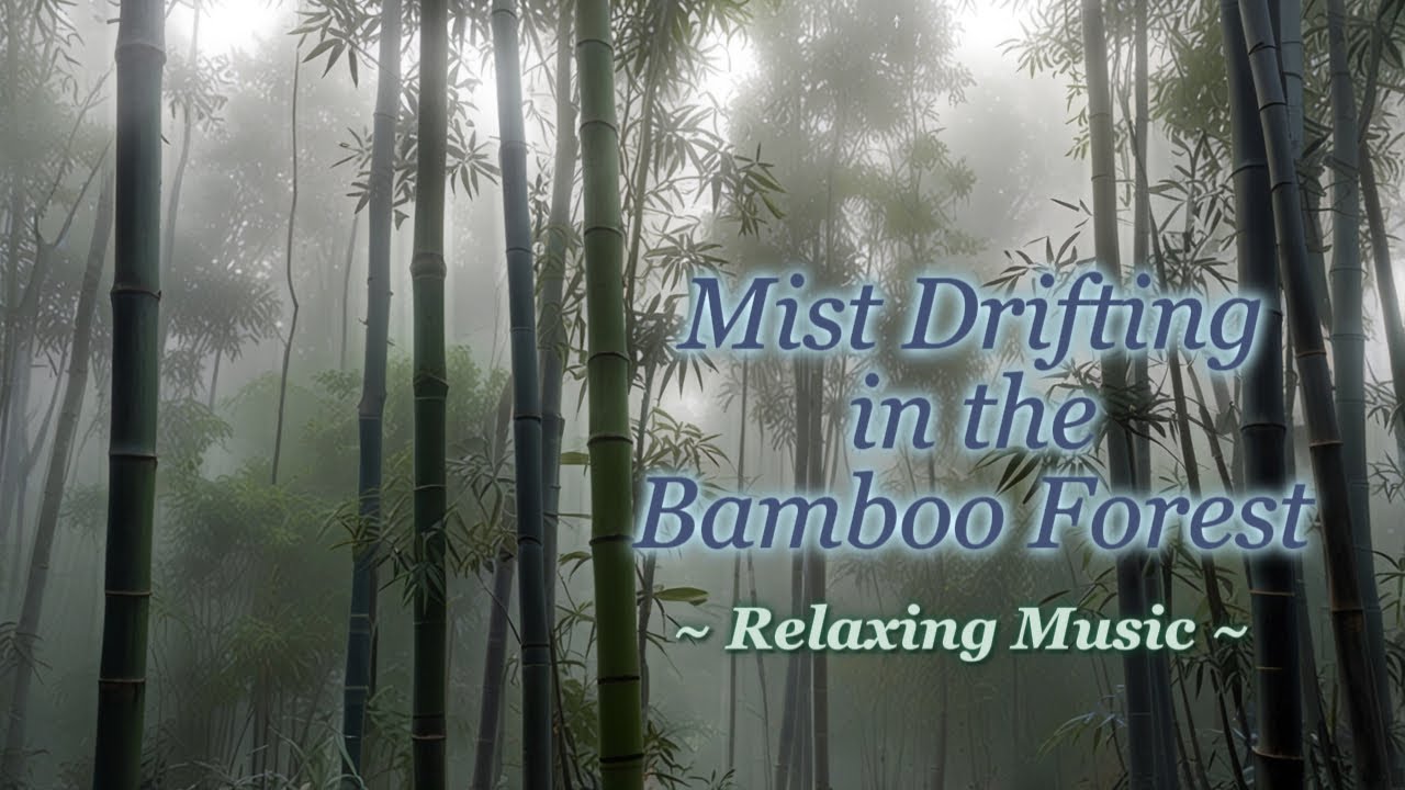 Relaxing Music of Mist Drifting in the Bamboo Forest - YouTube