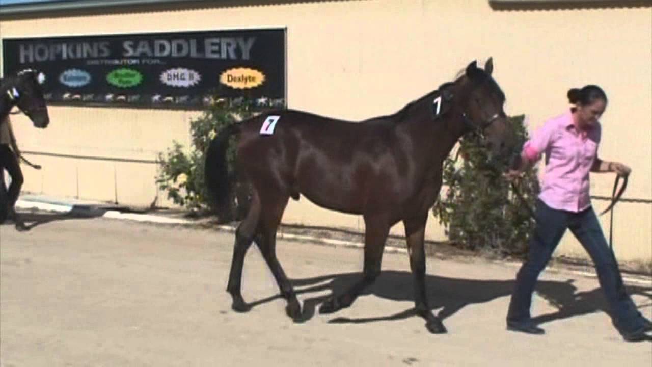 Lot 7 - Aaron Bain - $4,500 - YouTube