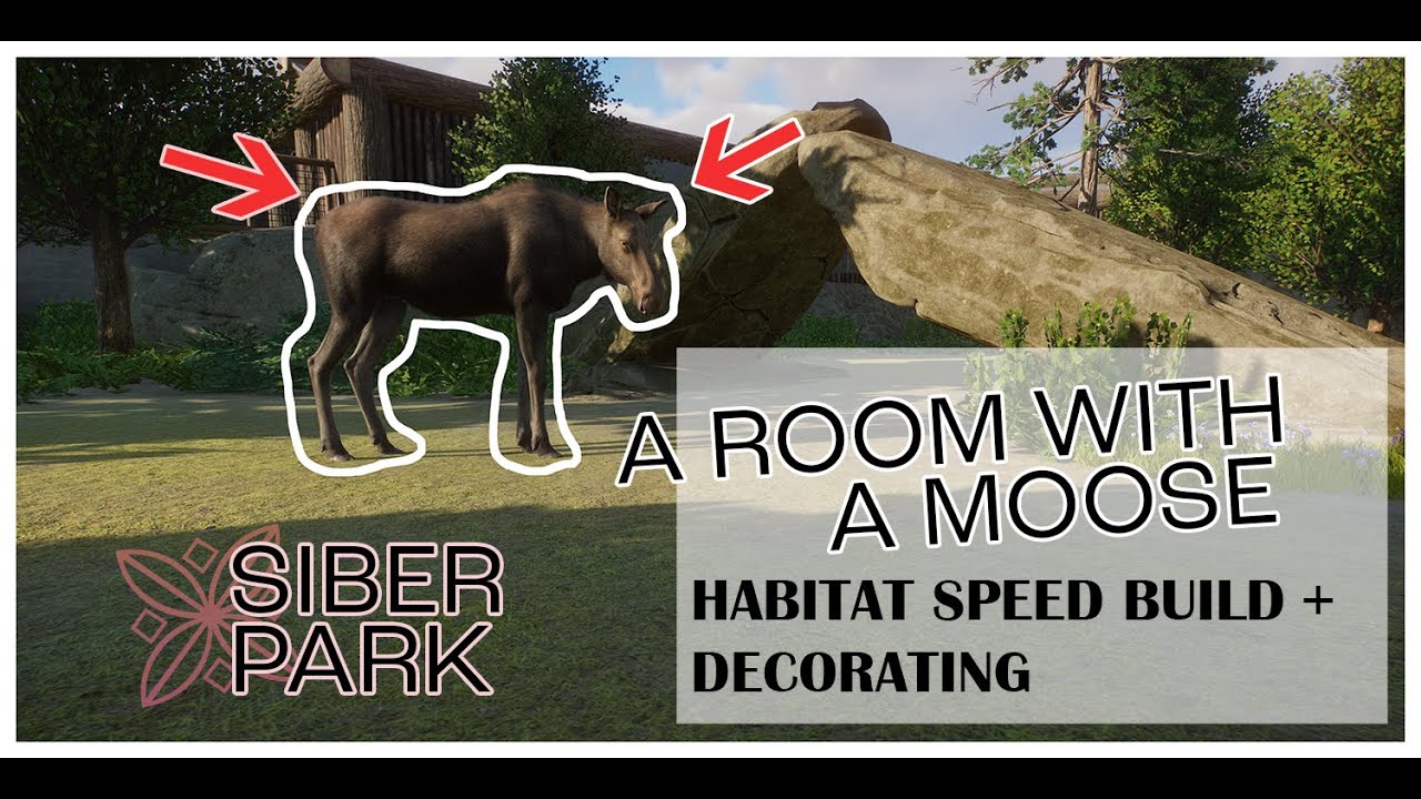 PLANET ZOO )🦌 moose on the loose, hard mode speed build! - YouTube