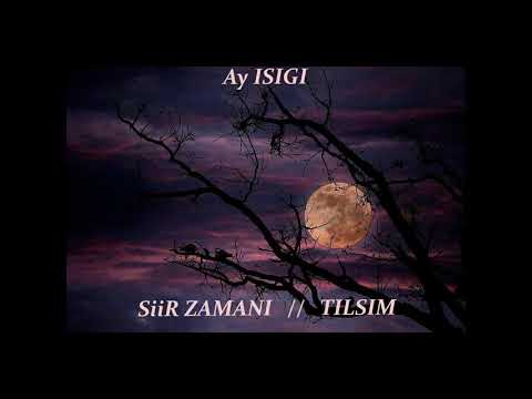 Mükemmel Enstrümantal Fon Müzikleri ( AY IŞIĞI )