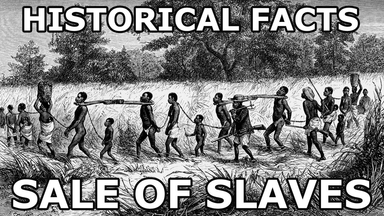 Unveiling the Dark History: The Transatlantic Slave Trade - YouTube