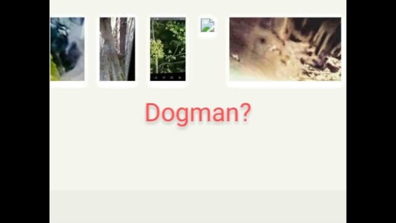 Dogman species - YouTube
