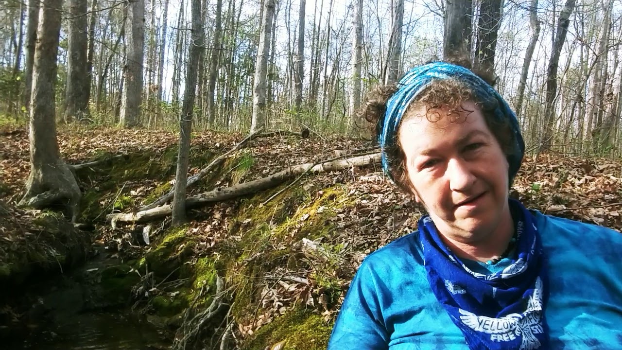 Creekside Poems: "Fiddleheads" by Mara Eve Robbins. 3-30-20 - YouTube