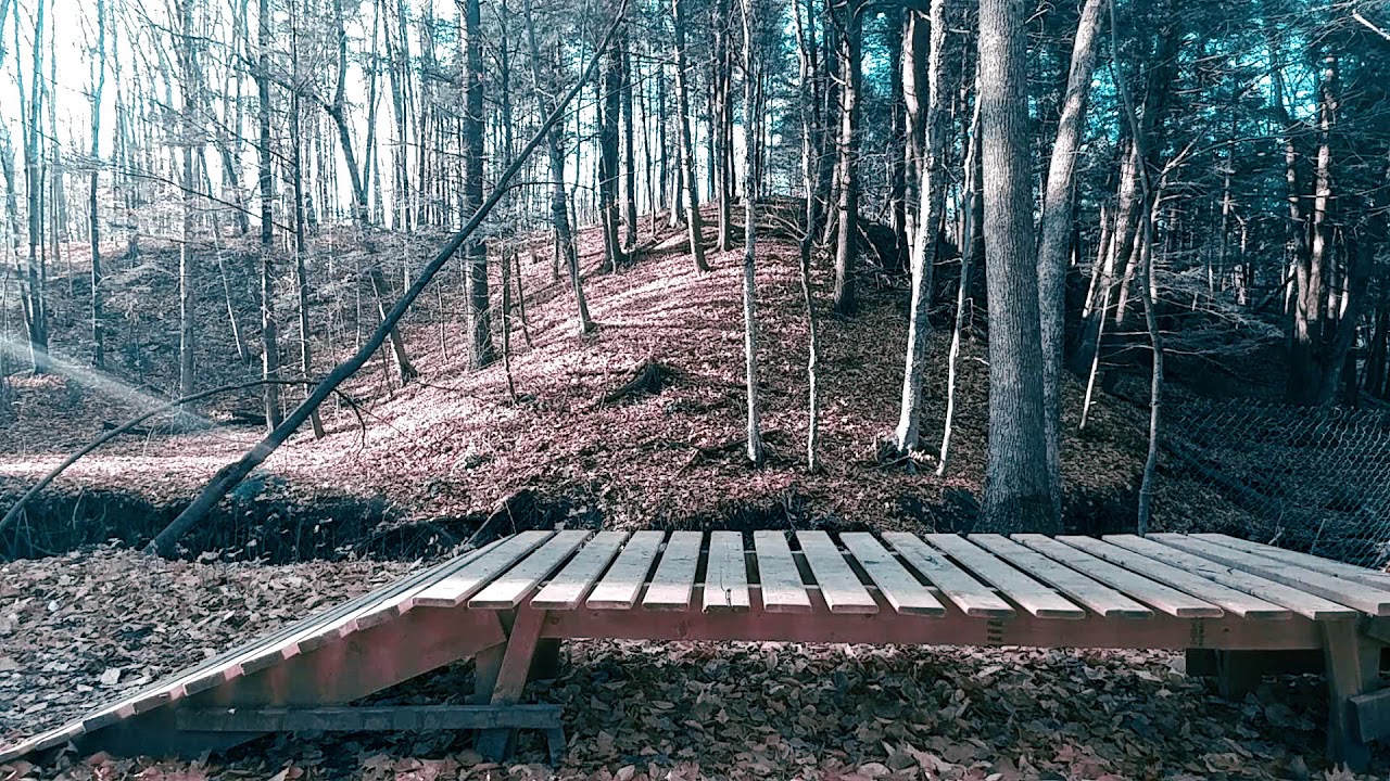 Free green screen background Woodland stage HD - YouTube
