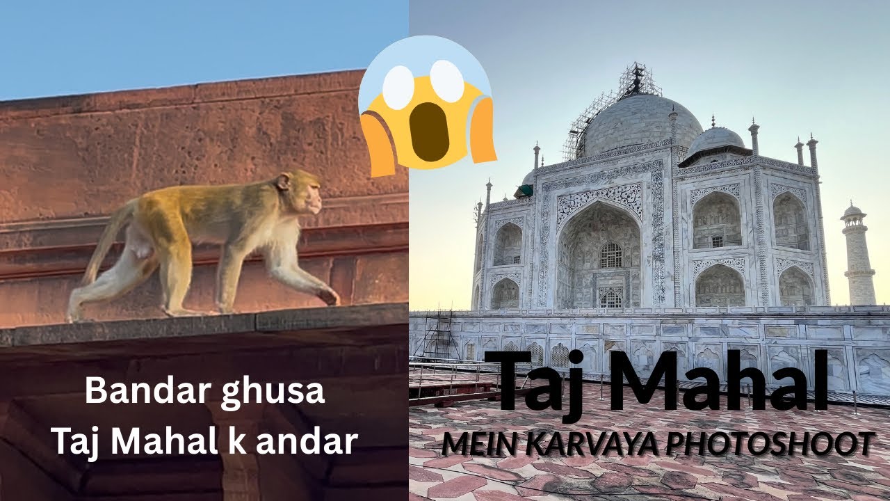 Raat ko 1 bje Taj Mahal Nikal gaye Photoshoot Karne | Bandar ka bna dia ...