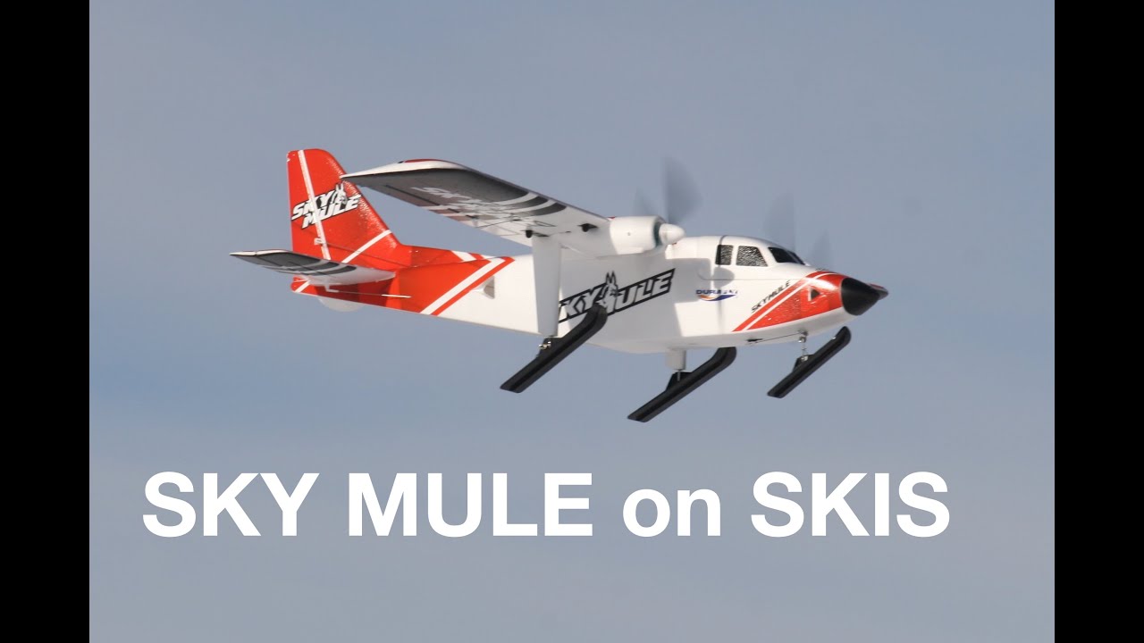 Sky Mule on Skis - YouTube