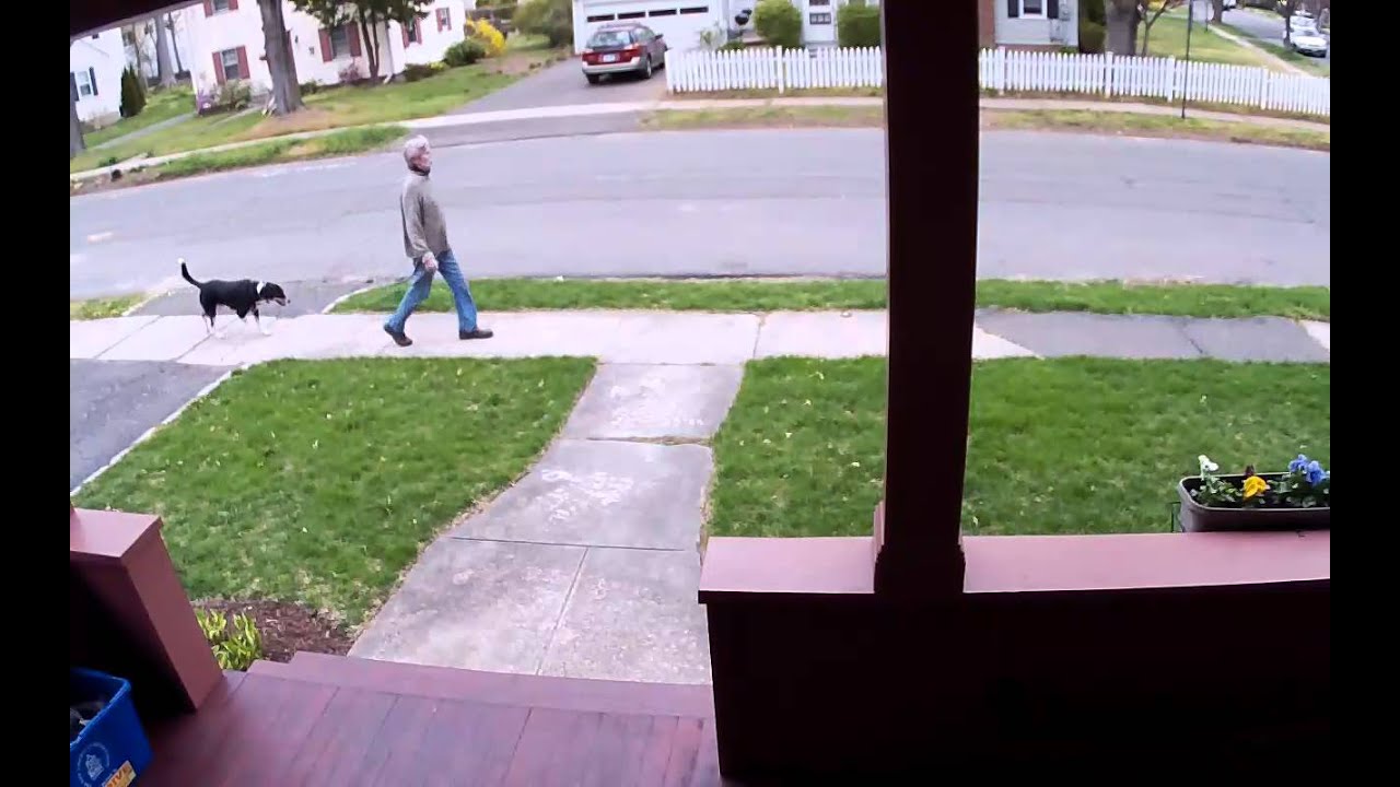 AXIS M1014 Front Yard - YouTube