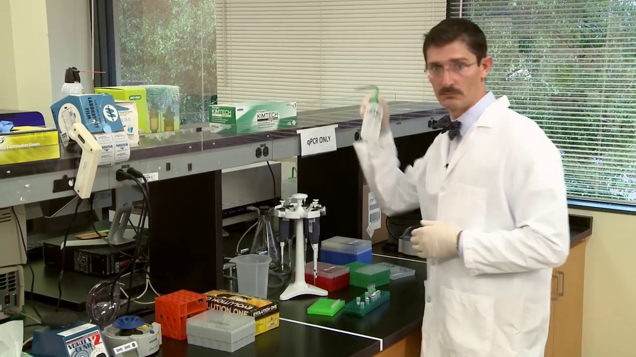 How to Minimize Contamination in qPCR Experiments - YouTube