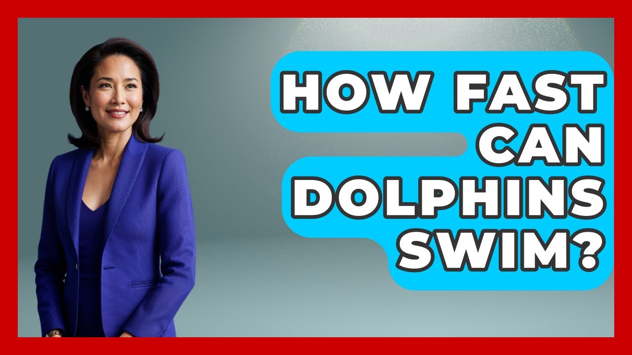 How Fast Can Dolphins Swim? - The Marine Life Explorer - YouTube