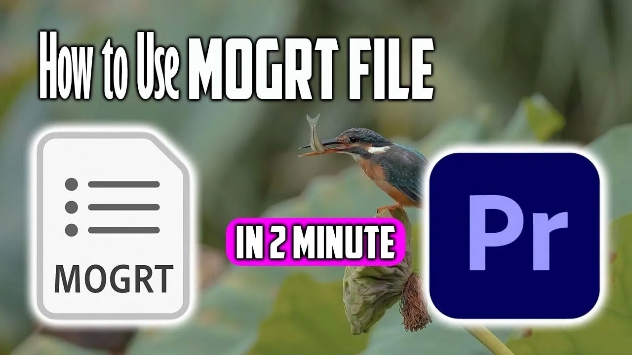 How to Use Mogrt Files in Premiere Pro - Mogrt File Premiere Pro - YouTube