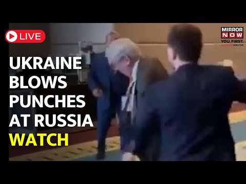 Ukraine MP Punches Russian Official | World News | Russia Ukraine War Updates | PABSEC | Turkey