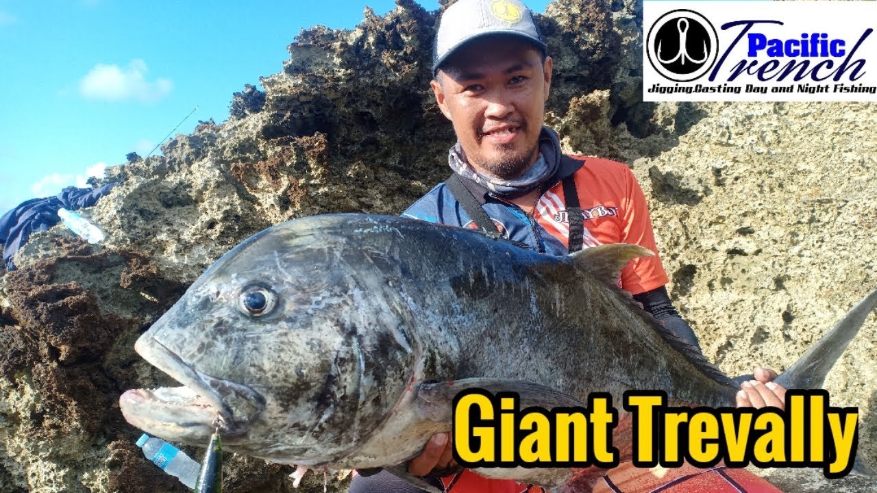 Cliff Fishing : Big GT - YouTube