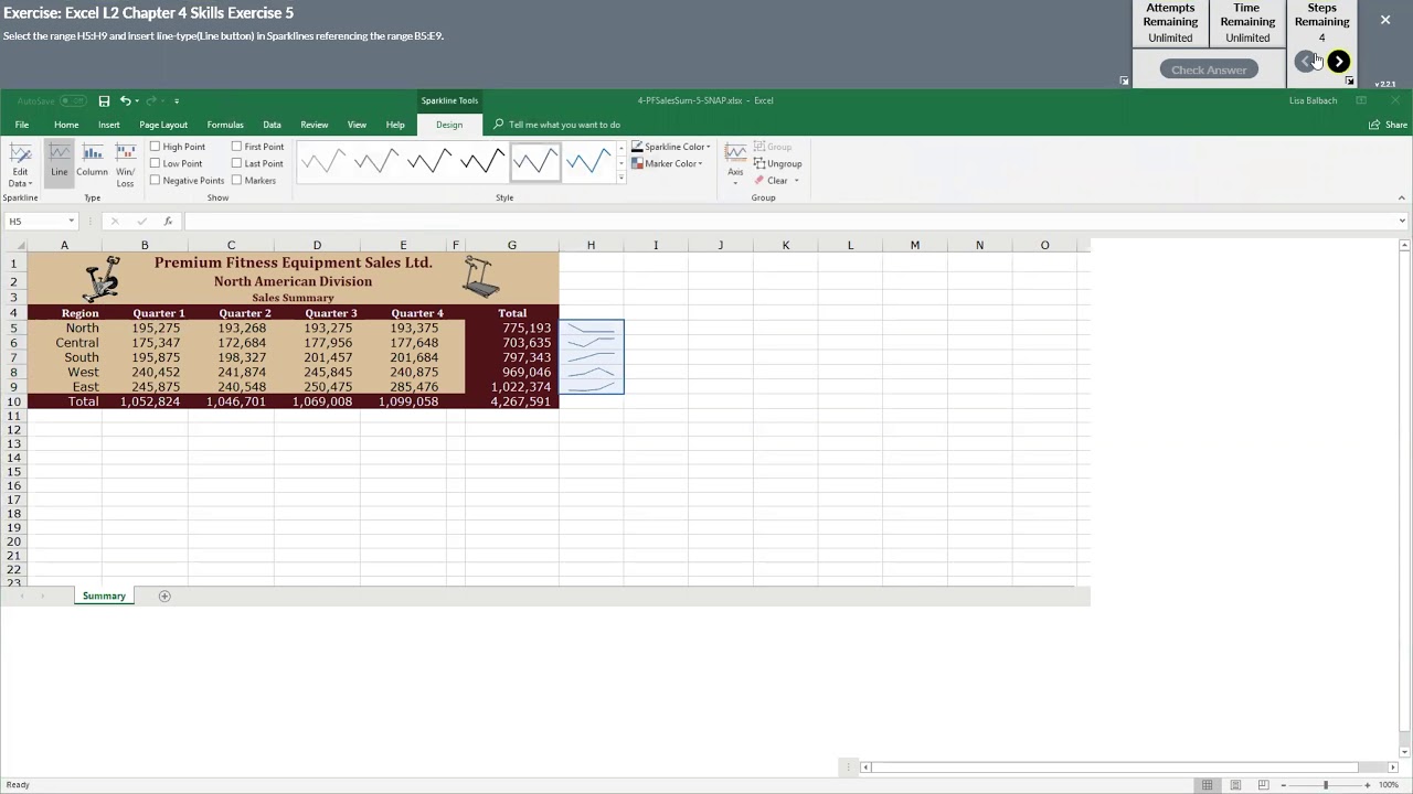 Excel 2016 Snap Level 2 Chapter 4 Skills Exercise 5 - YouTube