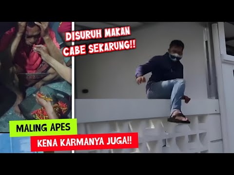 Maling Apes Disuruh Makan Cabe Sekarung..!! Aksi Nekat Maling Yang Tertangkap Kamera