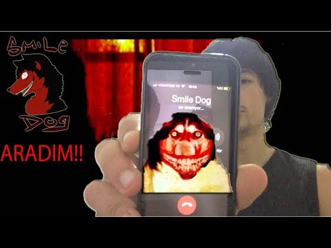 SMİLE DOG'U ARADIM !!! (ŞOK OLDUM!!)