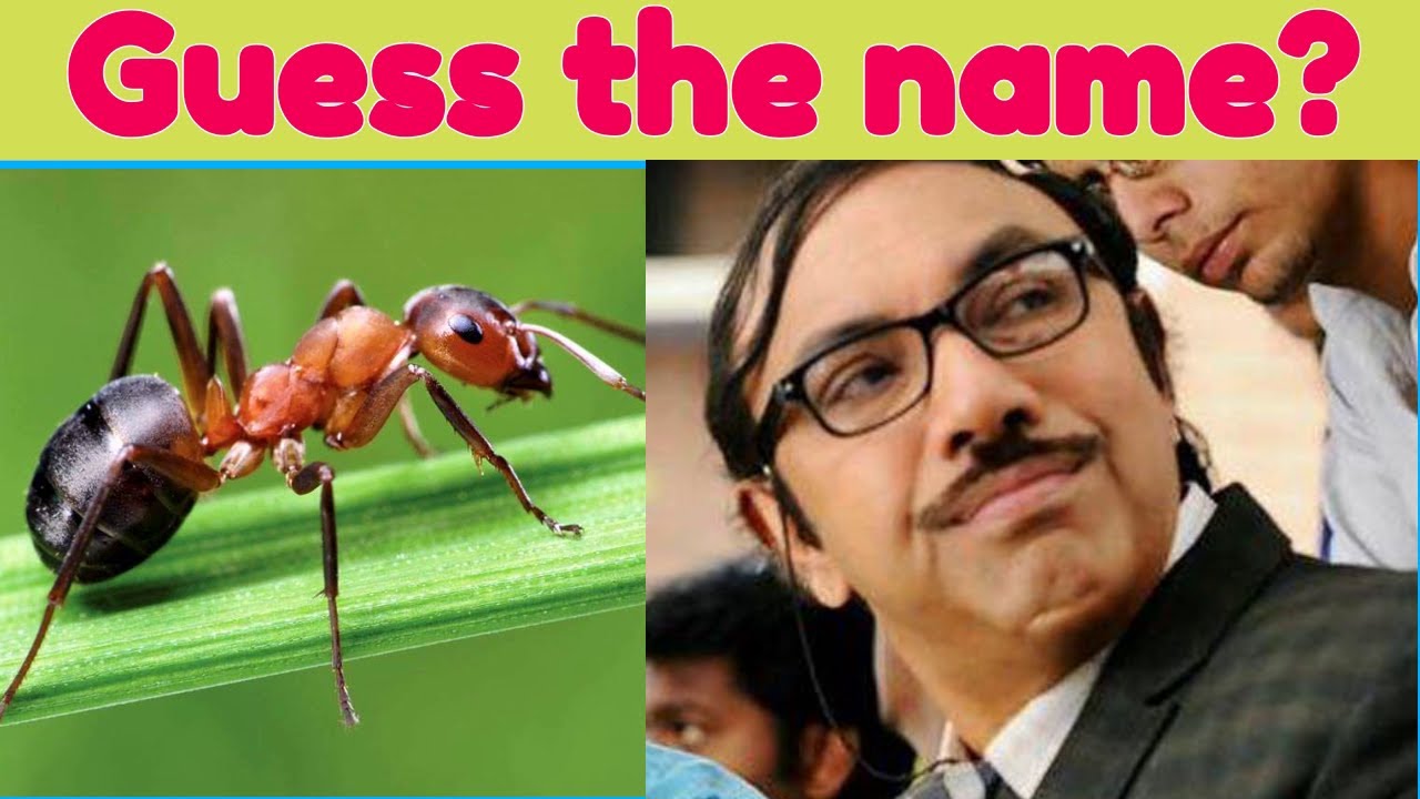 Technical Connection Game in Tamil |Connection game Part 1|Fun games ...