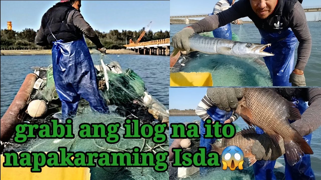 Ilog na mayaman sa ibat ibang klasi ng Isda[part 3]|Traditional fishing ...