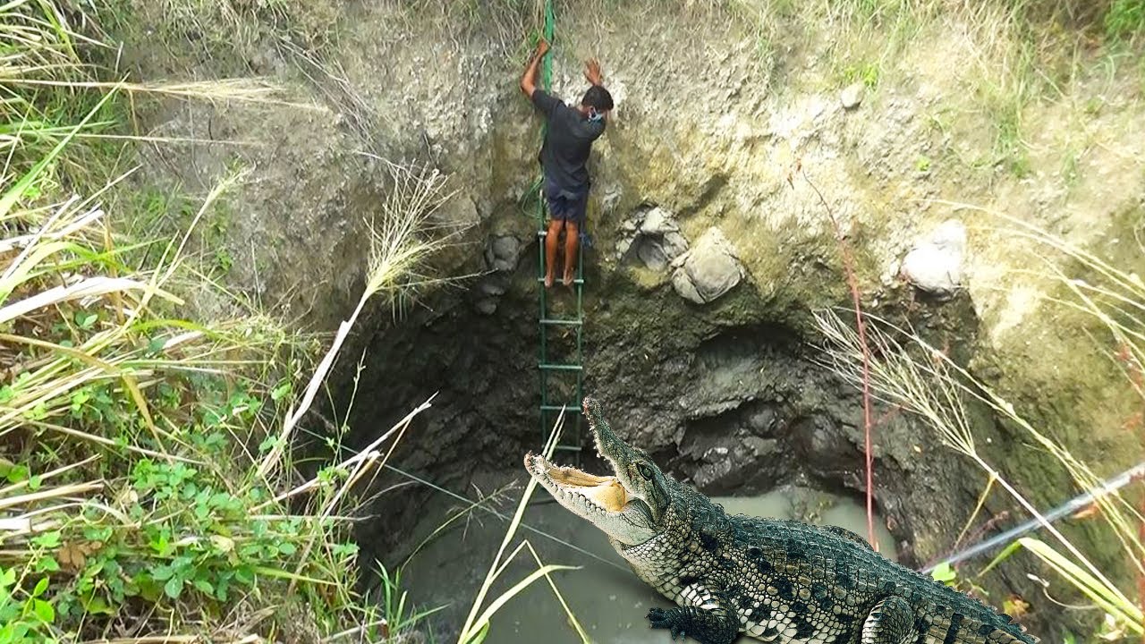 Rescuing a crocodile that fell into a deep agriculture well | Amazing ...