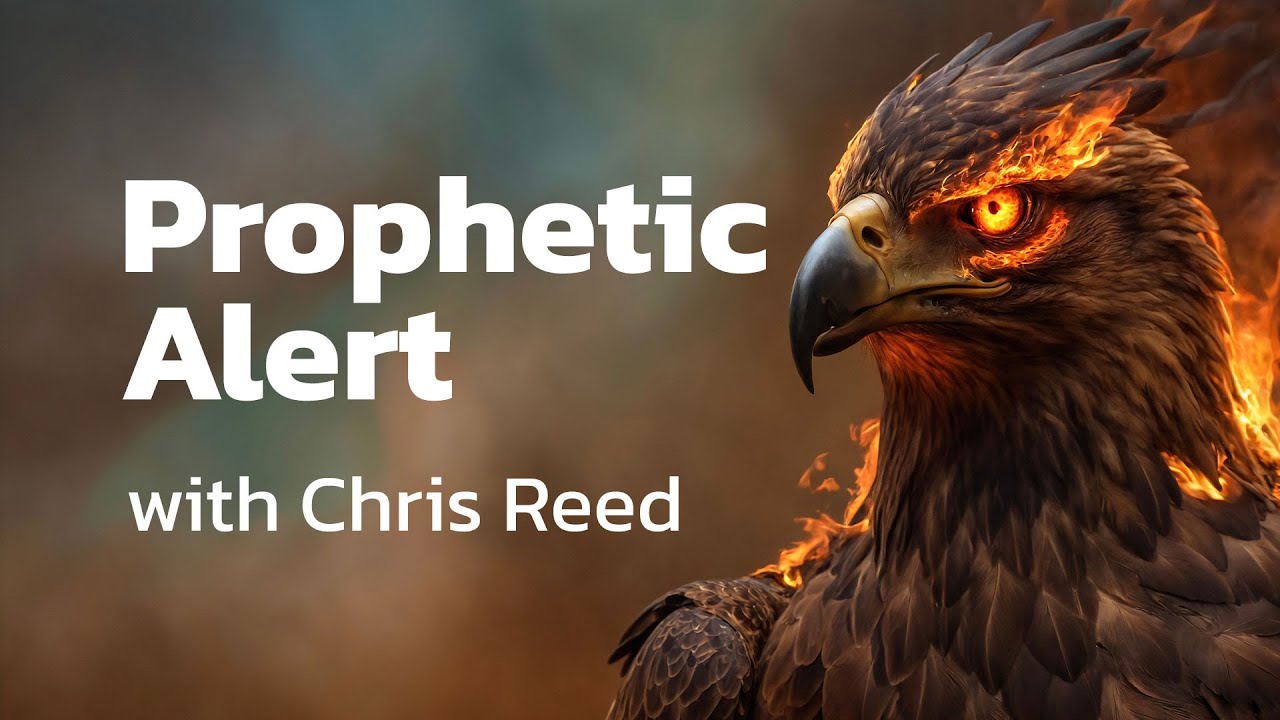 Chris Reed | Prophecy Of A WMD In The USA from December 2024 | 01-14 ...