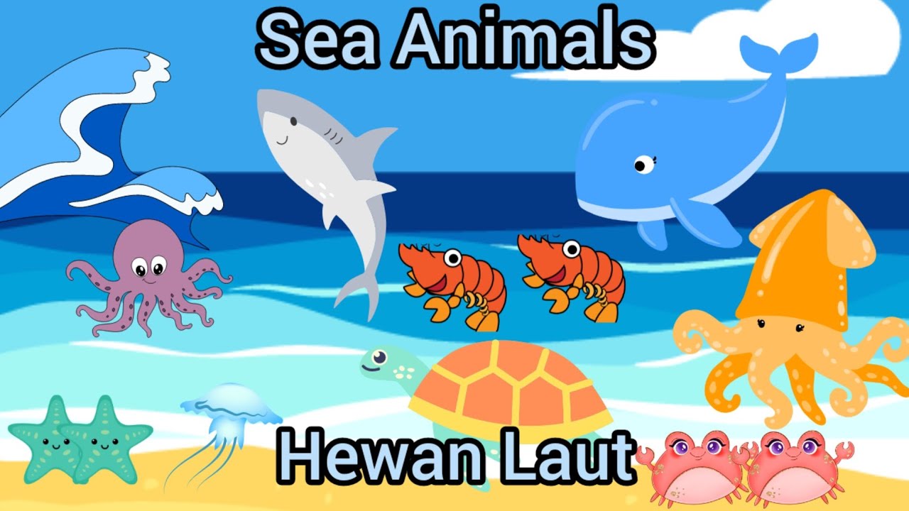 Let's Learn Sea Animals In English - Indonesia | #educationalvideo # ...