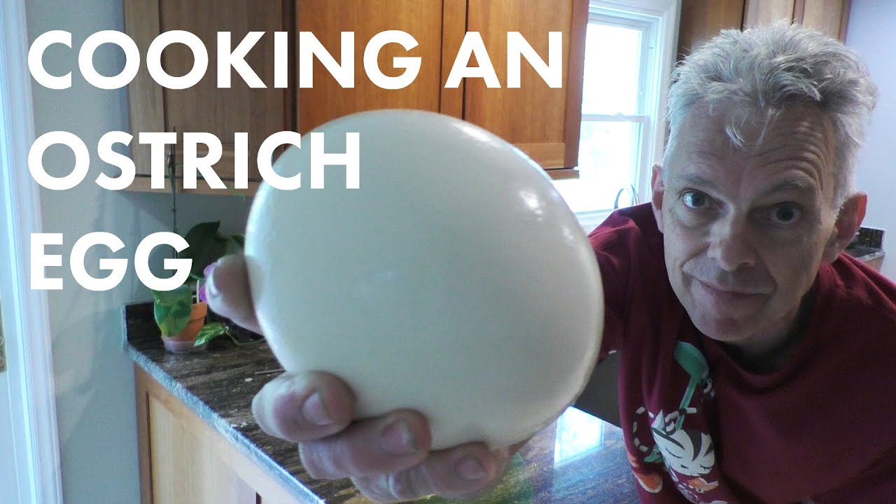 Blowing Out & Cooking An Ostrich Egg - YouTube