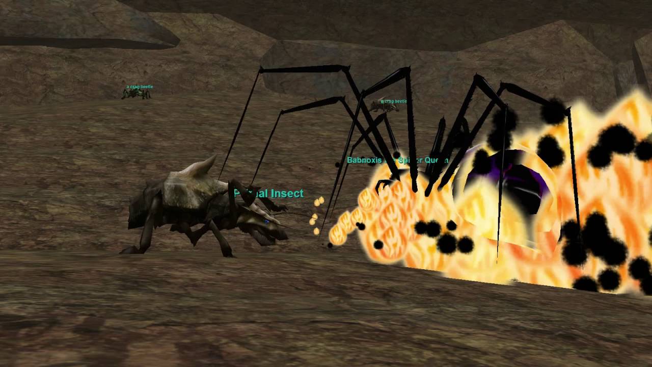 Primal Insect vs Spider Queen - YouTube