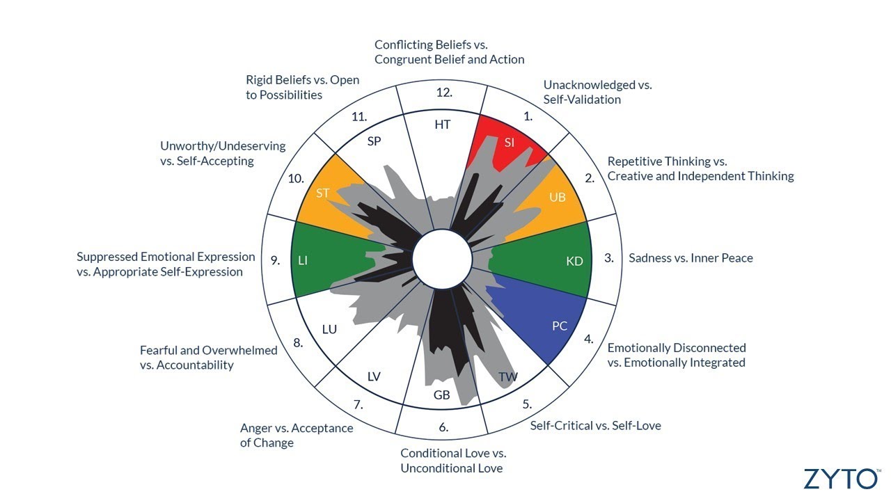 ZYTO Wellness Webinar – Fertility Support through Perception Reframing - YouTube