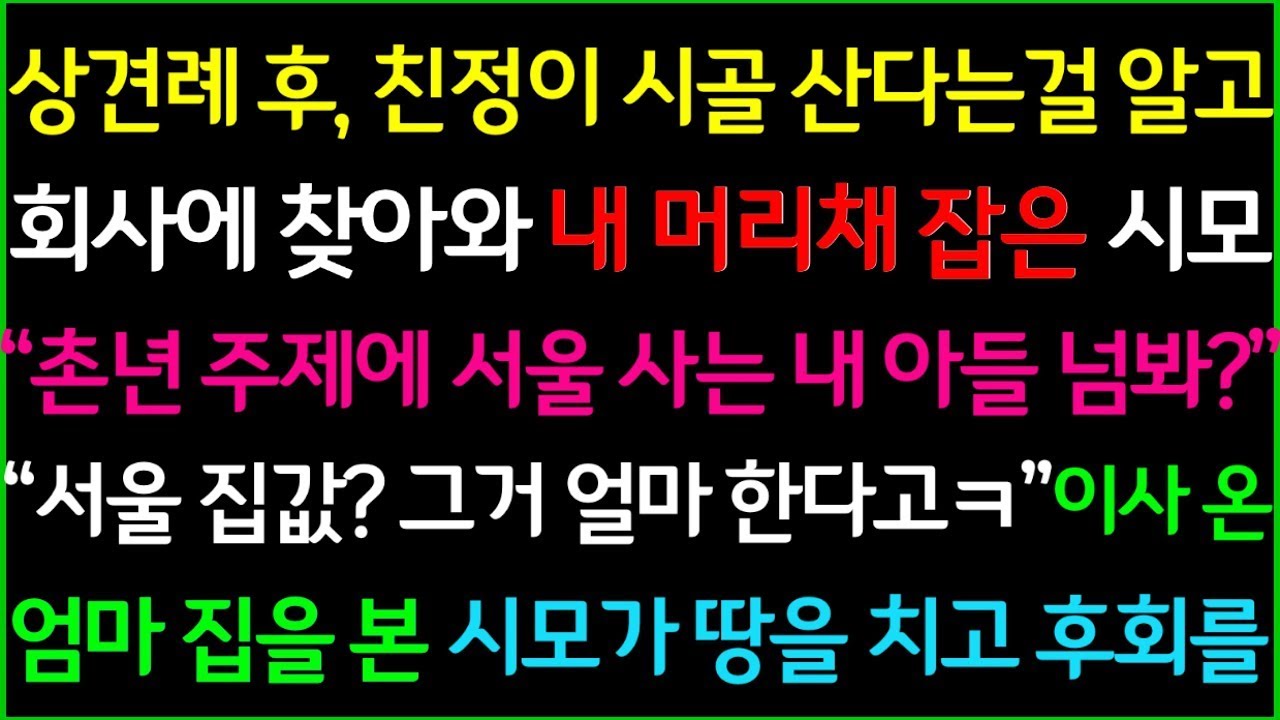 사이다 상견례후 친정이 시골 산다는걸 알게된 시모가 회사에 찾아와 내 머리채 잡는데 서울 사는 내 아들과 헤어져라 풉ㅋ 서울