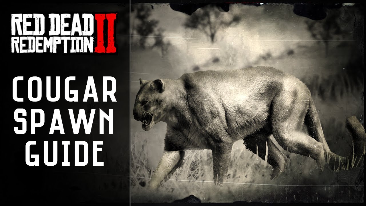 RDR2 - Cougar Location | Master Hunter 6 (Red Dead Redemption 2) - YouTube