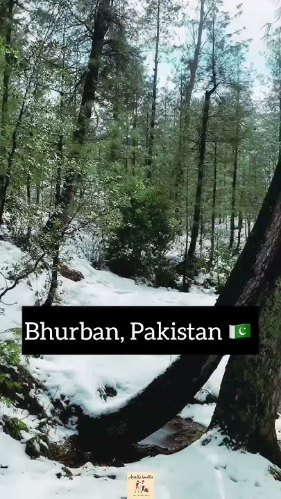 Snowfall in Bhurban, Pakistan 🇵🇰 | Winter Wonderland in Pakistan #murree - YouTube
