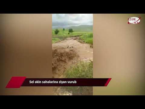 Gədəbəydə leysan yağışından sonra dolu düşüb