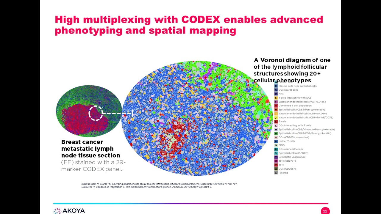 Validating Multiplexed Antibody Panels for Pancreatic Research ...
