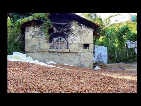 koliva - yüksek dağlara doğru..hd kalite