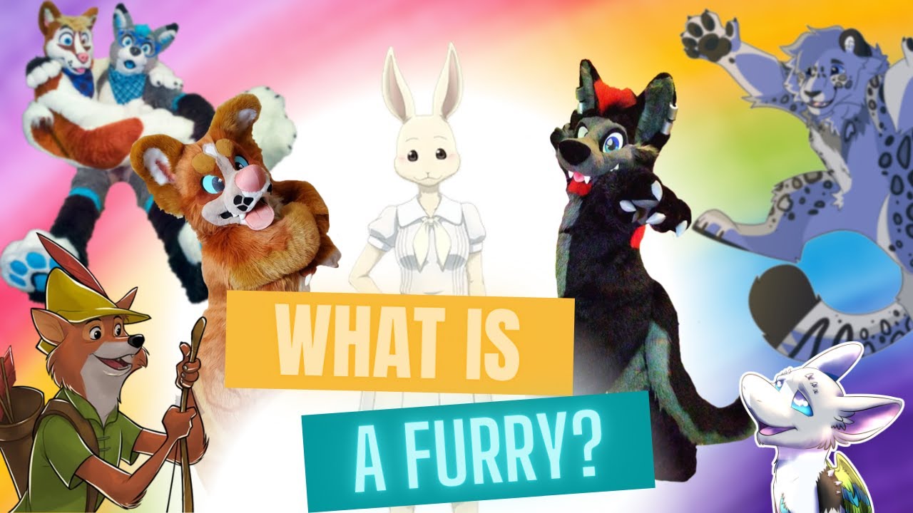 What Is A Furry? - YouTube