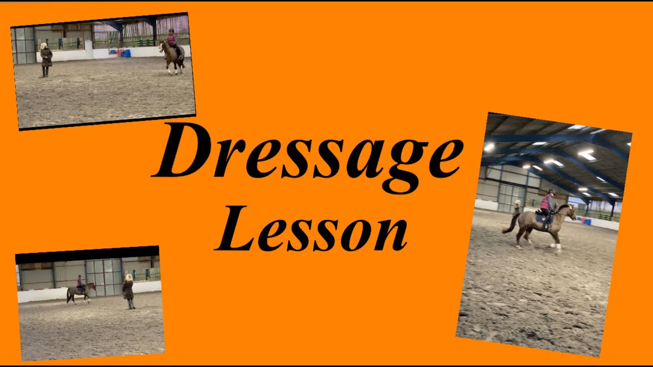 Dressage Lesson YouTube dressage-lesson-youtube